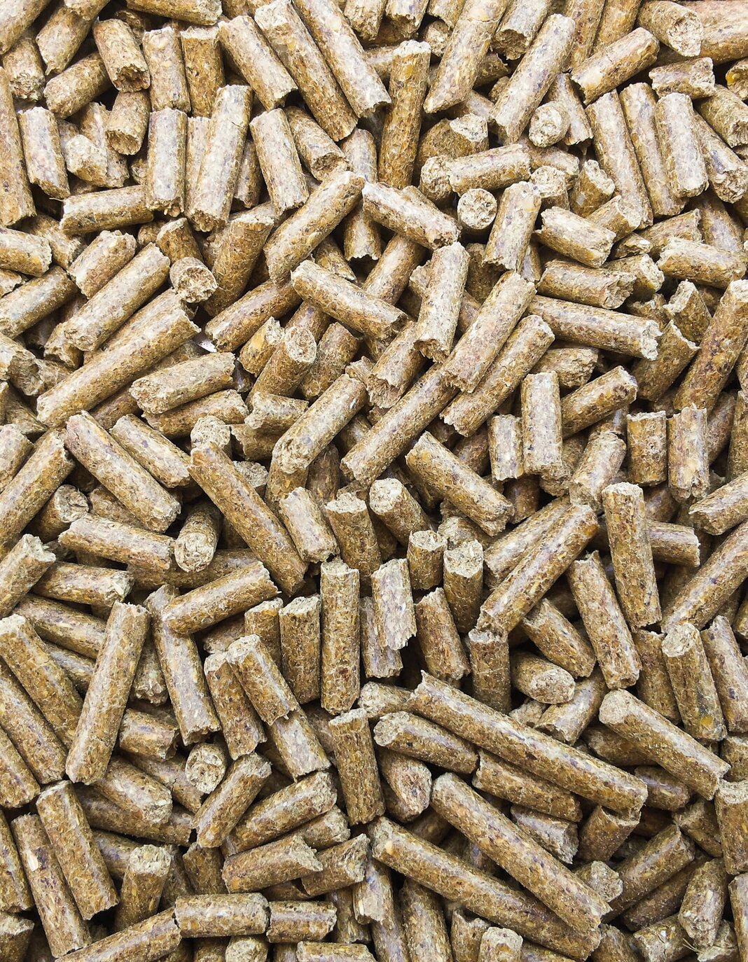 Clou Pellet